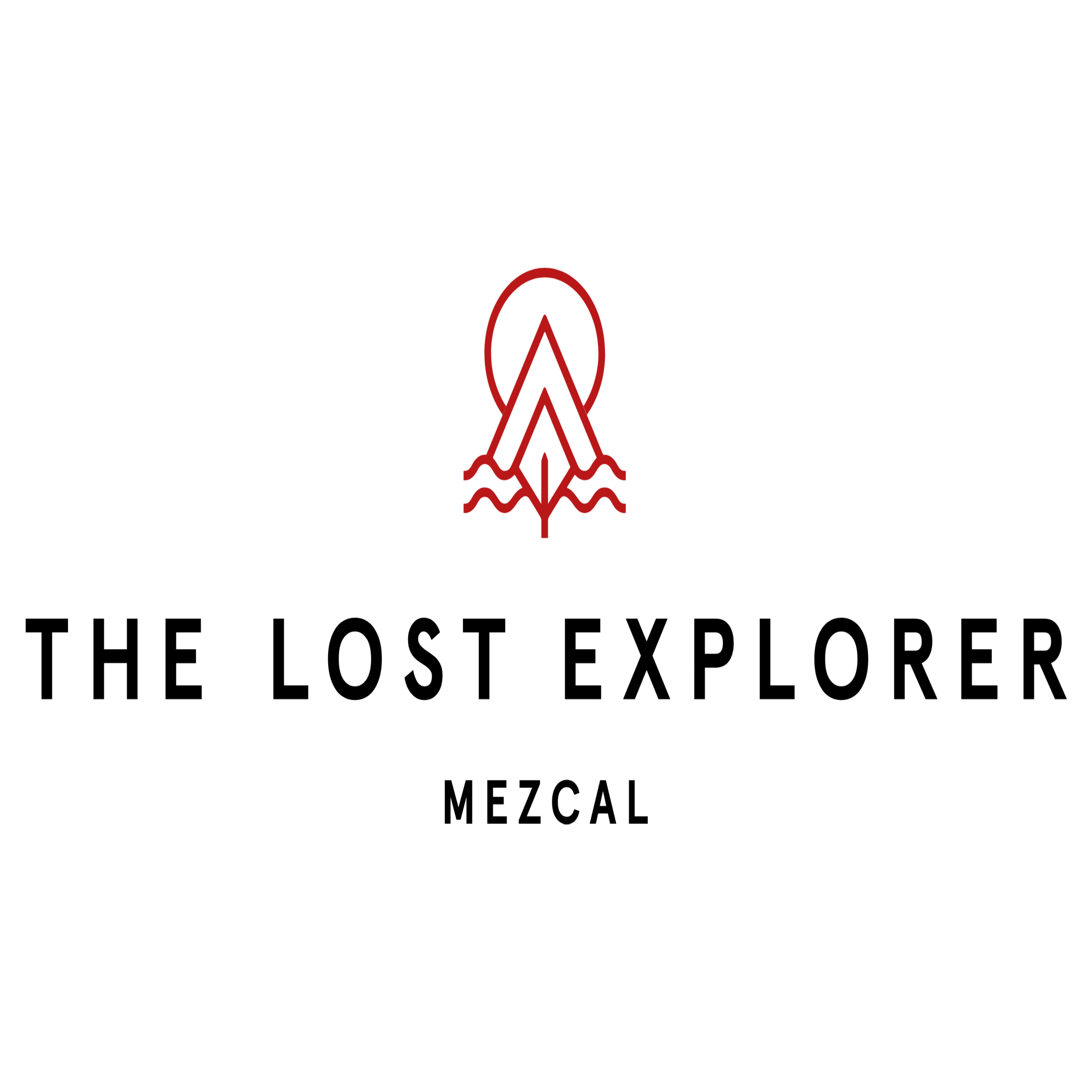 The Lost Explorer